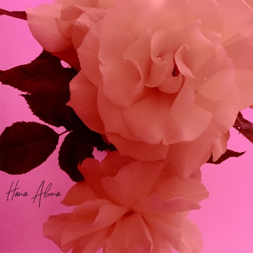 Stream La Vie en Rose (cover) by Hana Aluna | Listen online for free on ...