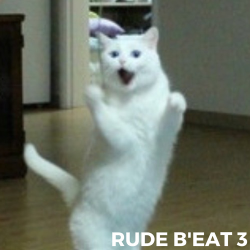 Rude B'eat 3 by Rude B | Free Listening on SoundCloud