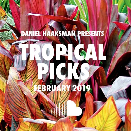 Stream Daniel Haaksman | Listen to Tropical Picks February 2019 ...