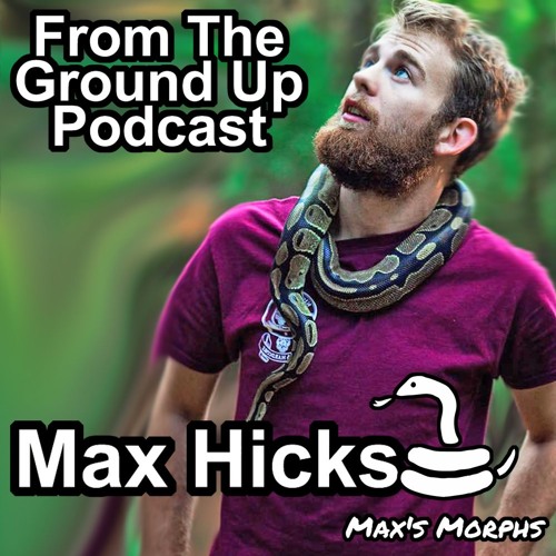 Stream episode Relocating Rattlesnakes W/ Max Hicks of Max's Morphs by ...