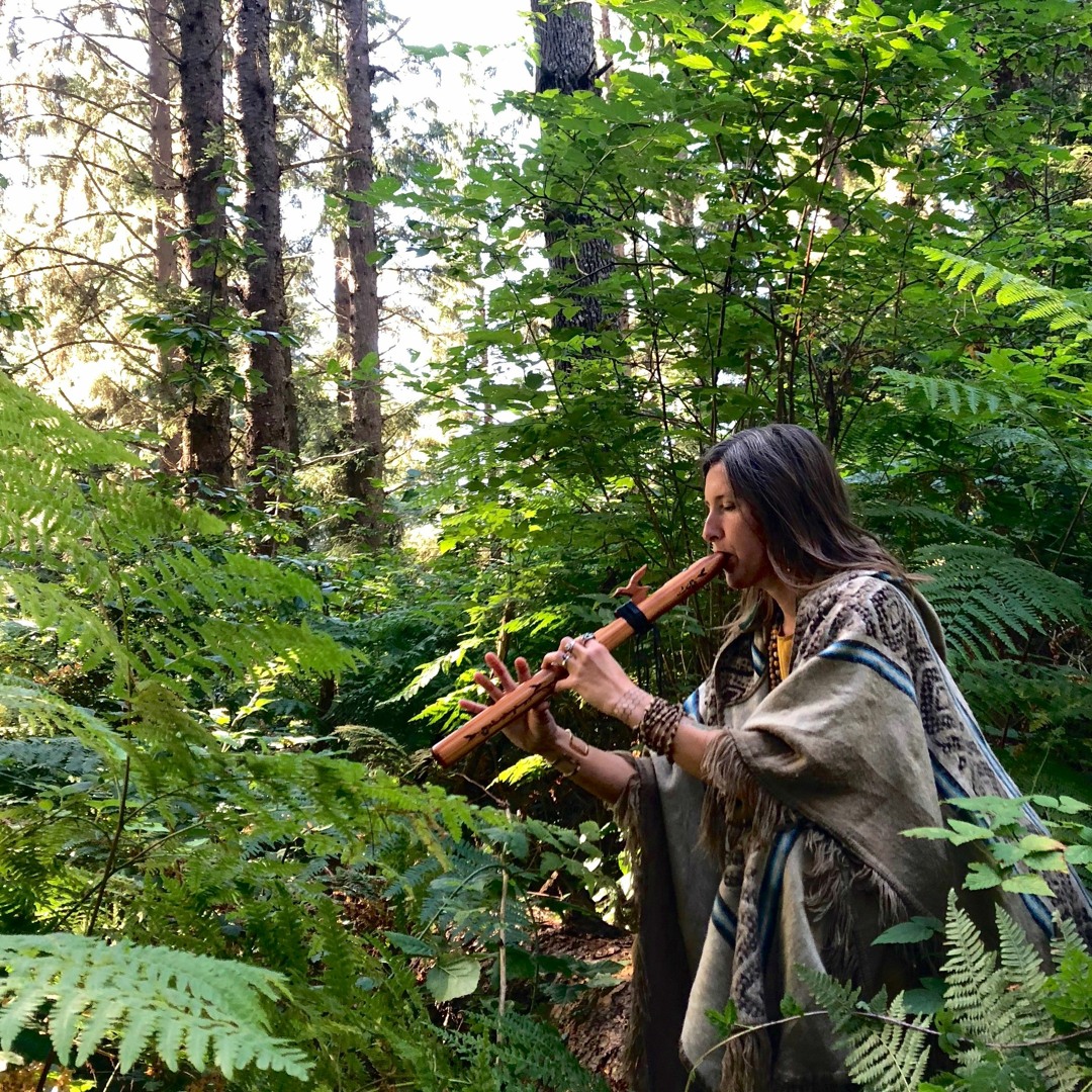 Stream Forest Song (instrumental) by Mary Isis | Listen online for free ...