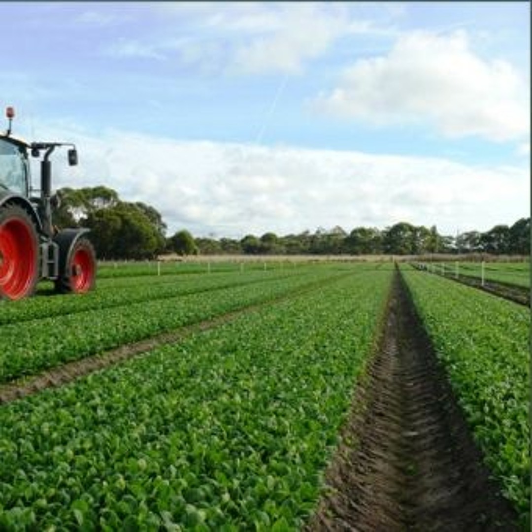 Stream episode Controlled Traffic Farming With Harvest Moon by Soil ...