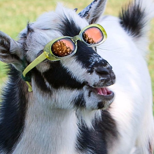 Stream IM A GOAT(beat By Prodbykendox) by 수학자(999 nilbog) | Listen ...