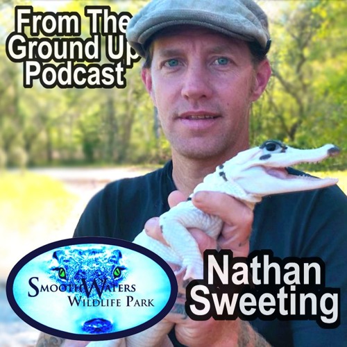 Stream episode Opening a Wildlife Park W/ Nathan Sweeting by Modern ...