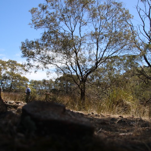 Stream Graeme Gardner - TAS Aboriginal Land Handback by CAAMA RADIO ...