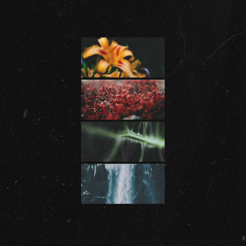 Stream QUIN & 6LACK - Mushroom Chocolate (Fedmate Remix) by Fedmate ...