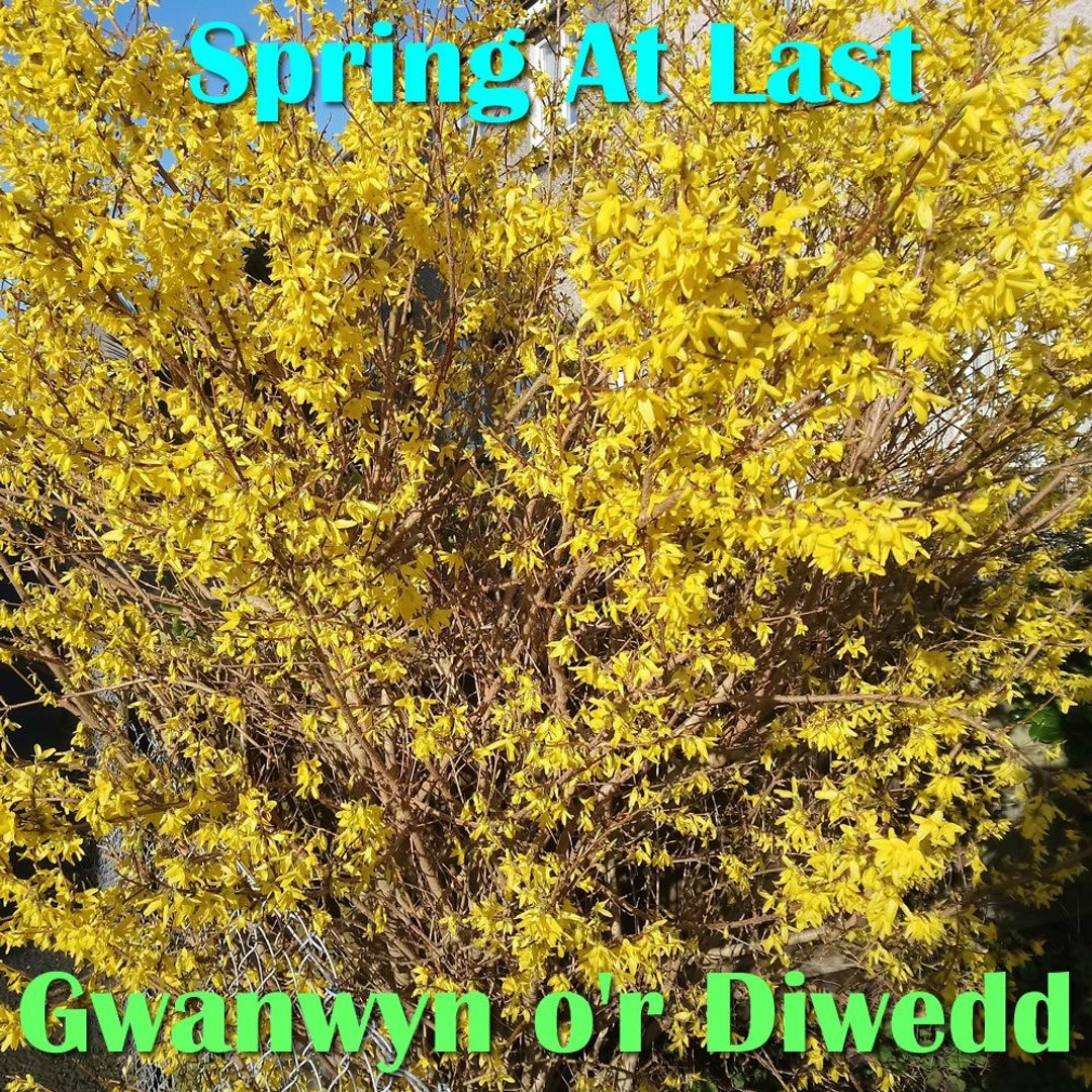 Stream Spring at Last / Gwanwyn o'r Diwedd by Simon Ager | Listen ...