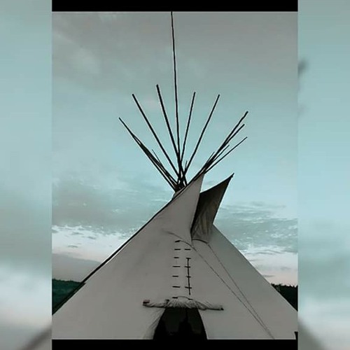 Stream Terry Fool Bull - Black Hills by Maurice Crow Dog | Listen ...