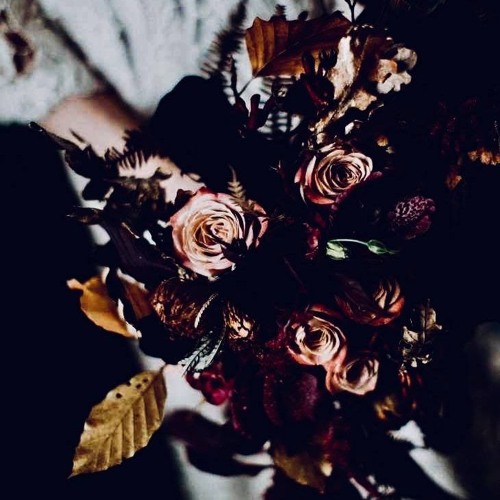 Stream september leaves ( prod. JOJO. ) by Lil Reign Drop | Listen ...