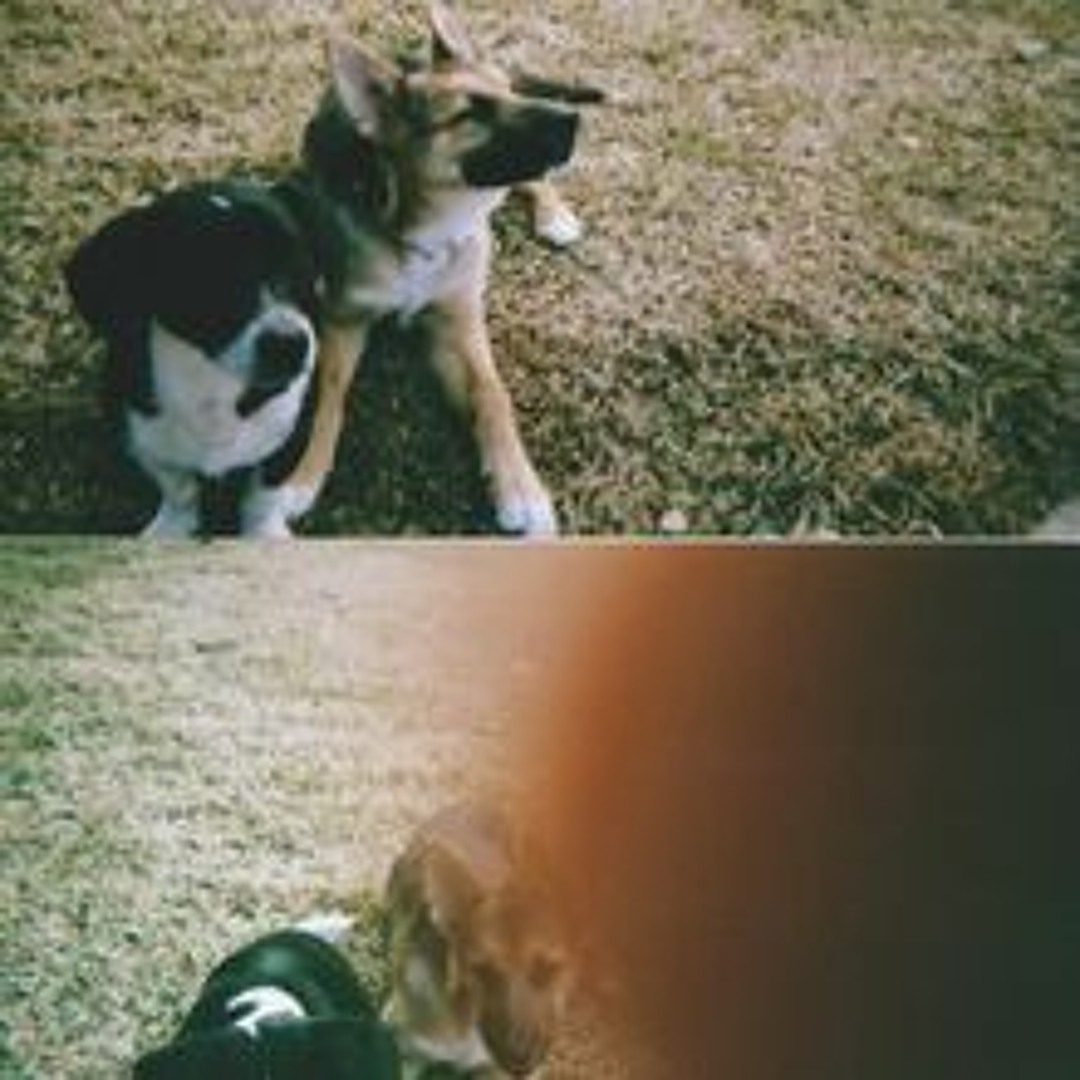 Stream Dexzy Poto | Listen to El papu 2 playlist online for free on ...