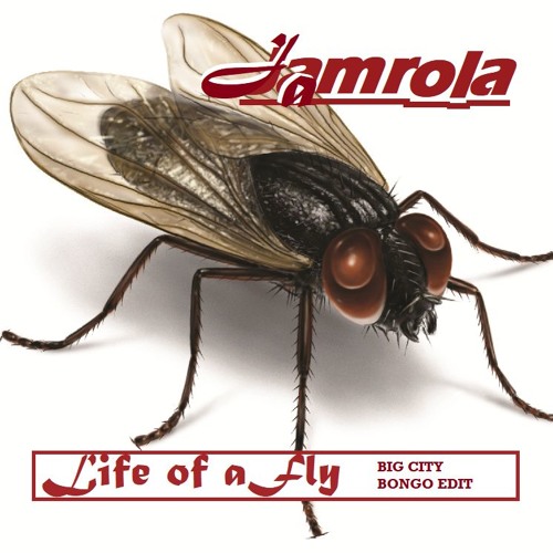 Stream Life Of A Fly - Big City Bongo Edit by Jamrola1 | Listen online ...