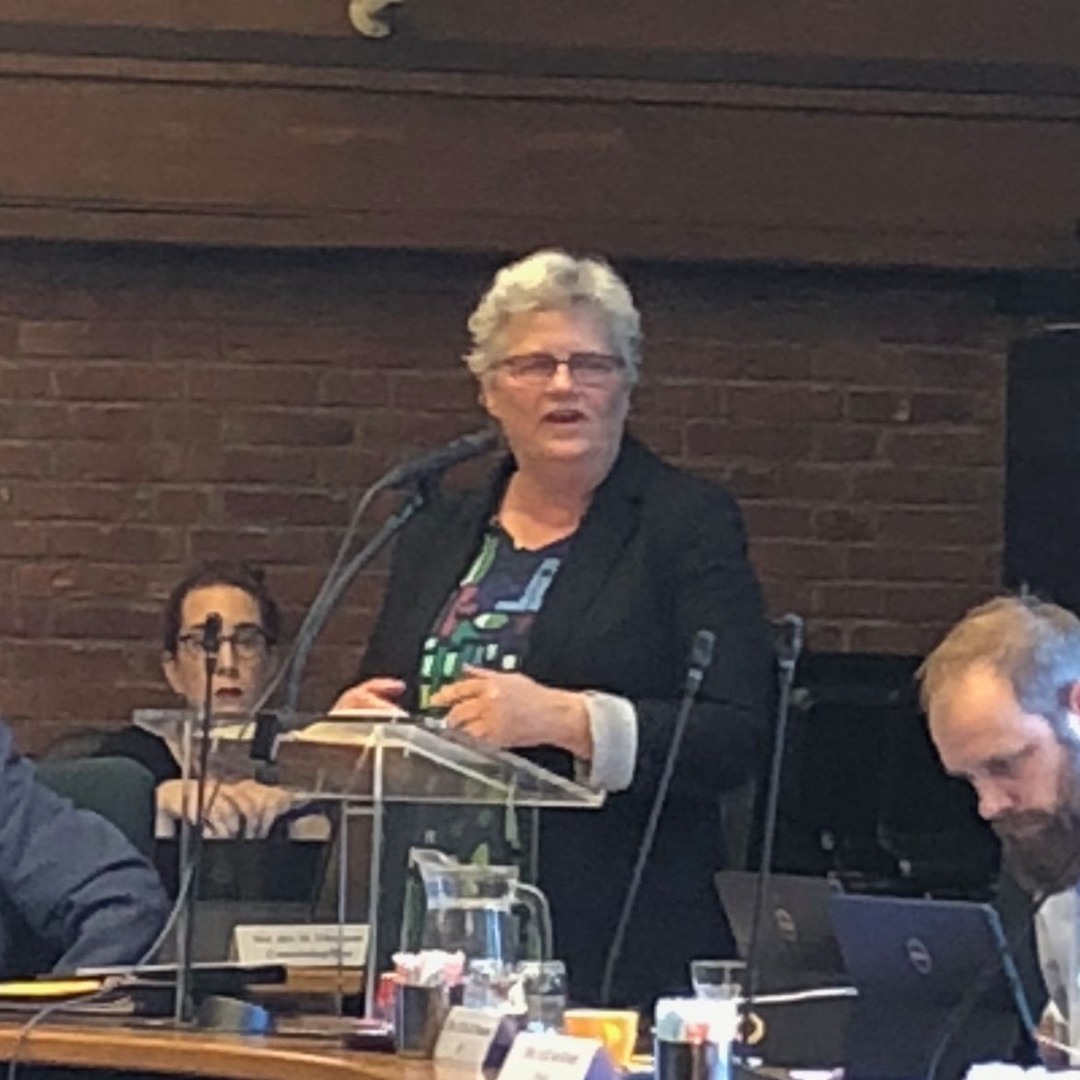 Stream 2019 - 03 -06 Wethouder Monique Lamers Over Nieuwe ...