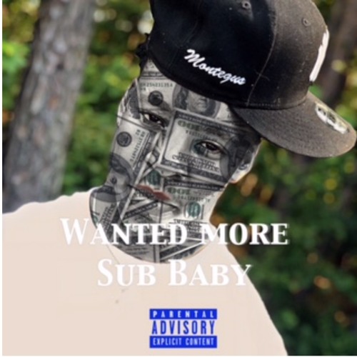 Stream Wanted More- Sub Baby by N.F.M. | Listen online for free on ...