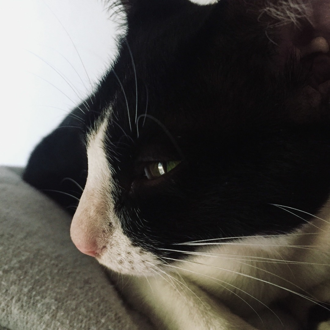 Stream H - 652 (New Tune) - TS, JC, PO by timmytimtim | Listen online ...