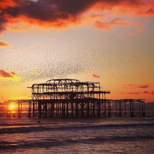 Stream Brighton Song by Claire LeMaster | Listen online for free on ...