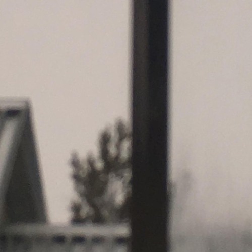 Stream episode Howling w/Joey Diaz (prod. Frames) by youwereneverhere ...