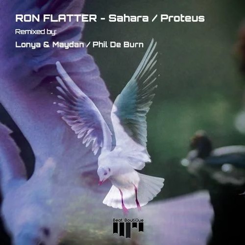 Stream Ron Flatter - Sahara - Beatboutique Rec. by Ron Flatter | Listen online for free on ...