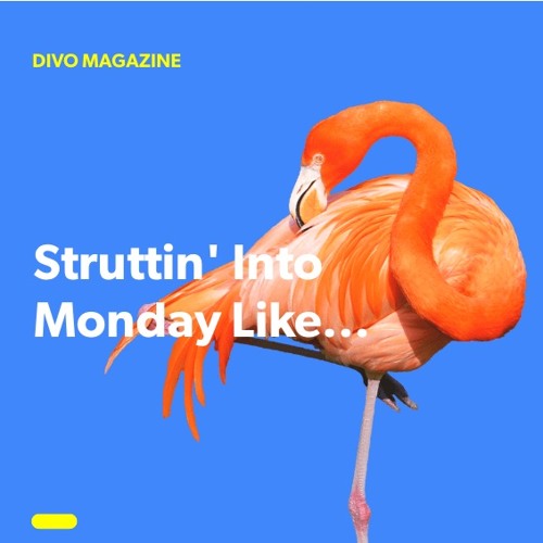 Stream DIVO MAGAZINE | Listen to Struttin' Into Monday Like... playlist ...