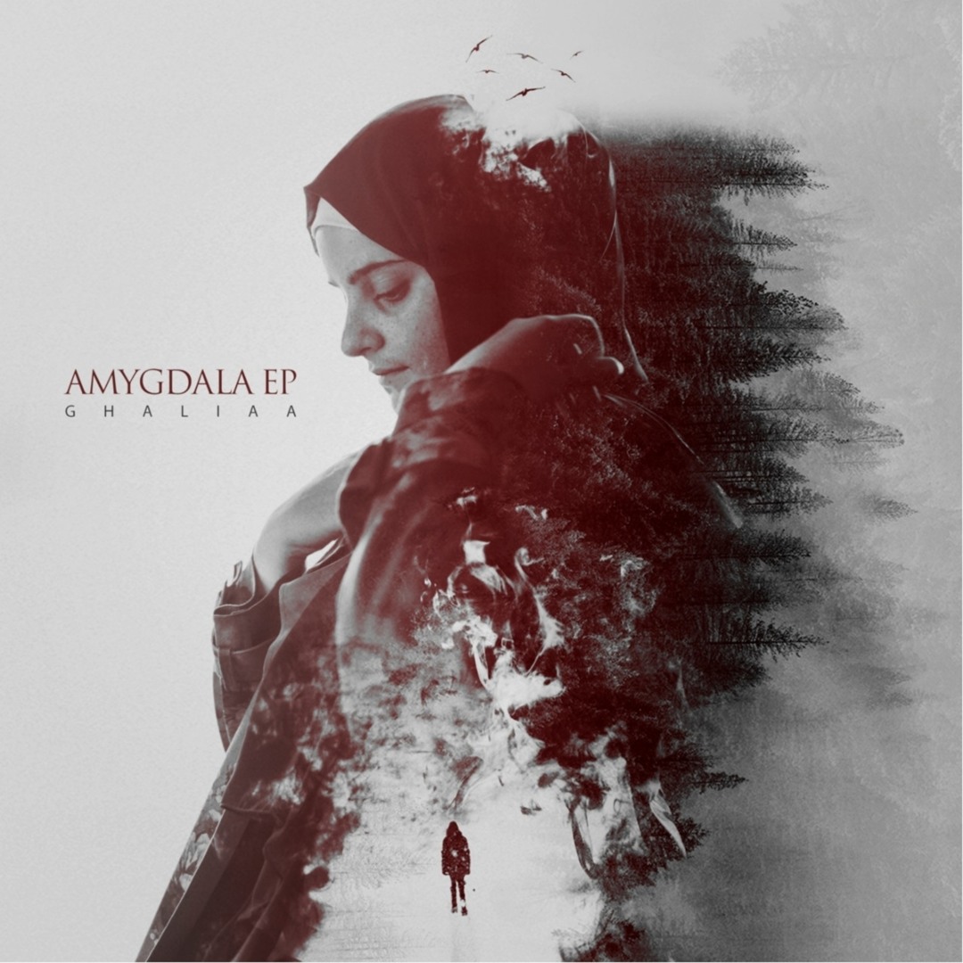 Stream Cause You Trouble (Amygdala EP) by Ghaliaa | Listen online for ...
