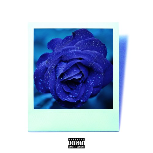 Stream Roses (Prod. Brandon Taylor) by Brandon Taylor | Listen online ...