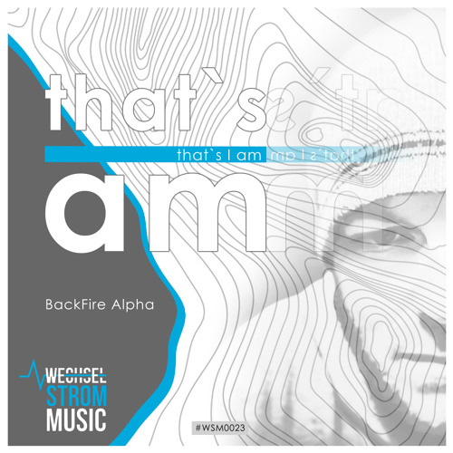 Stream Backfire Alpha - Ready or Not by wechselstrommusic | Listen ...