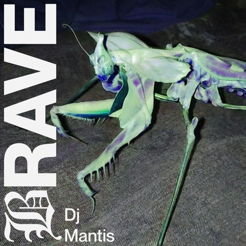 Stream DRILLCAST010 - Dj Mantis by Drill | Listen online for free on ...