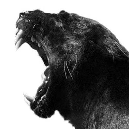 Stream A Fangs First Approach by Ryan Cockerham | Listen online for ...