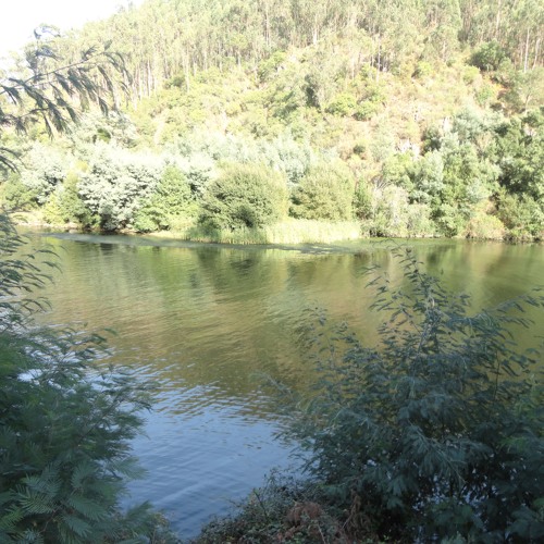 Stream The Crystal People & The Paschats by Mariana Alves Soprano ...