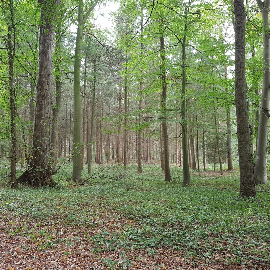 Stream Morteza Pashaei - Yeki Hast by Top music video | Listen online ...