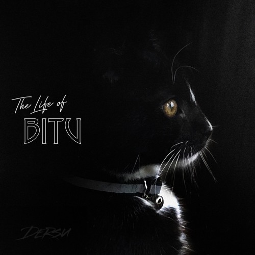 Stream The Life Of Bitu by DERSU | Listen online for free on SoundCloud