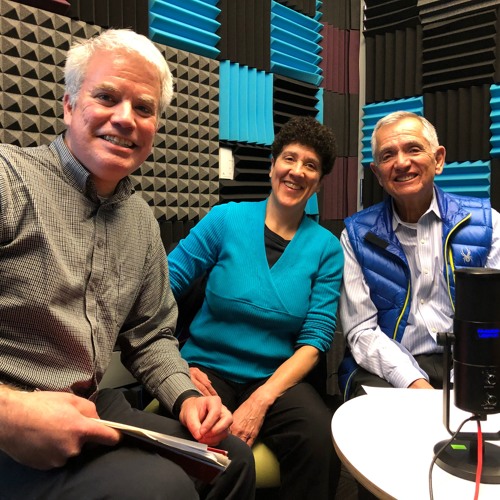 Stream Reed Presidential Search Podcast #1 by Reed College | Listen ...