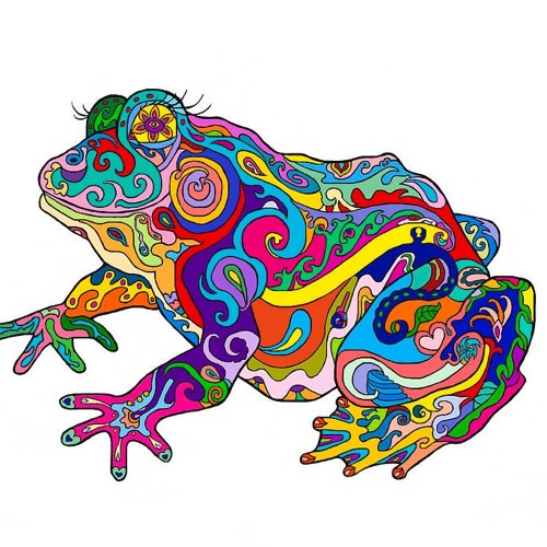 Stream Terry the Toad by Boofus | Listen online for free on SoundCloud