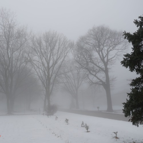 Stream You got this Evan by Andrew Kozar | Listen online for free on ...