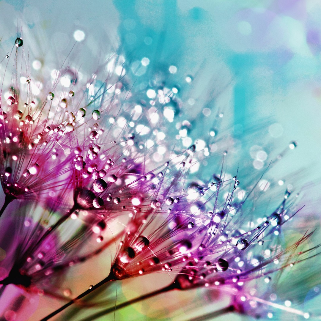 Stream VlogSound - Ikson - Spring - no copyright music - vlog travel ...