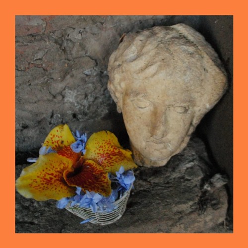 Stream La flor Y La estatua by Hadita Cuantica | Listen online for free ...