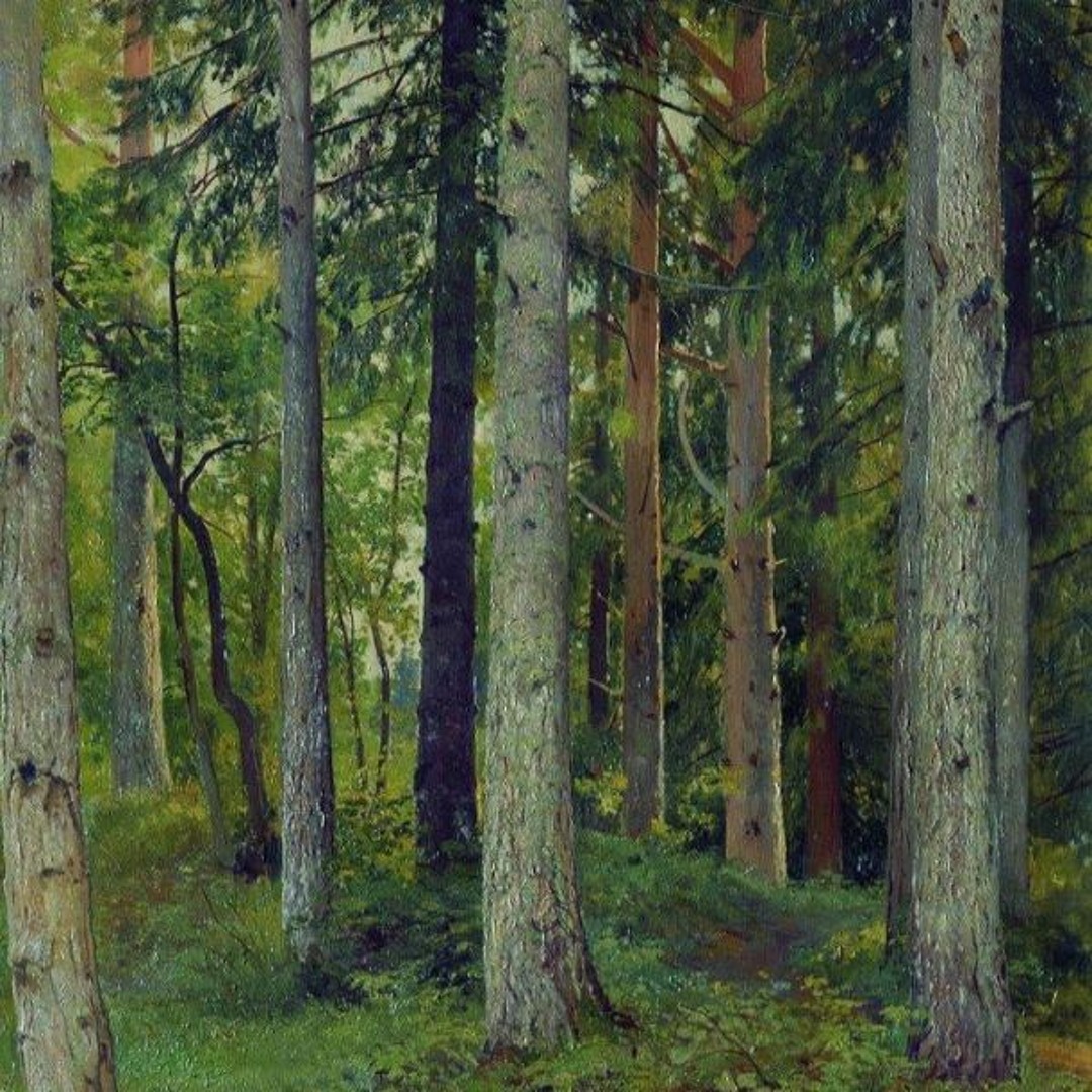 Stream Forest Grotto by Evan Gunderson | Listen online for free on ...