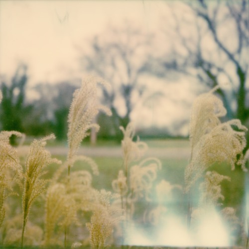 Stream Murmuring by German Error Message | Listen online for free on ...