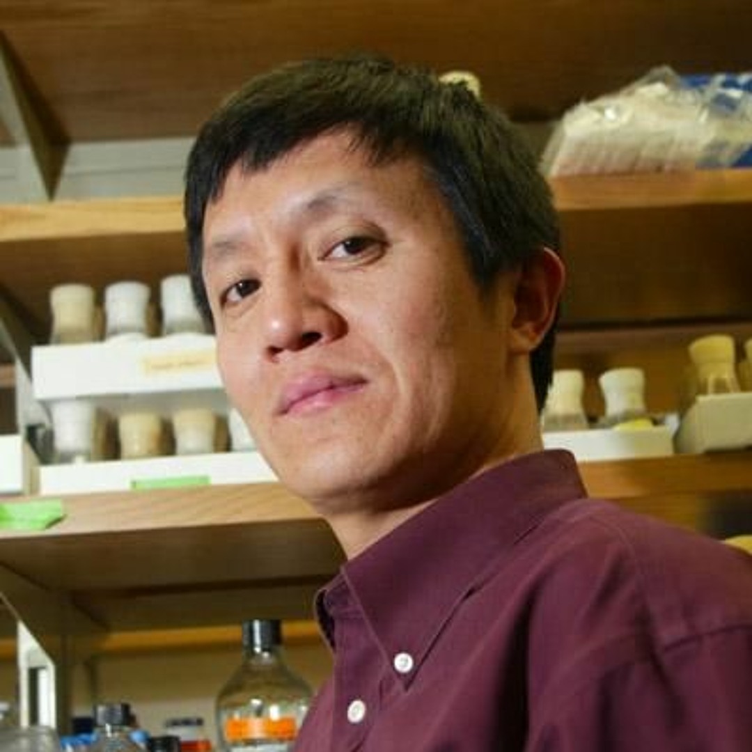 Stream episode 34: Nature vs Nurture with Dr. Liqun Luo by Max Planck ...