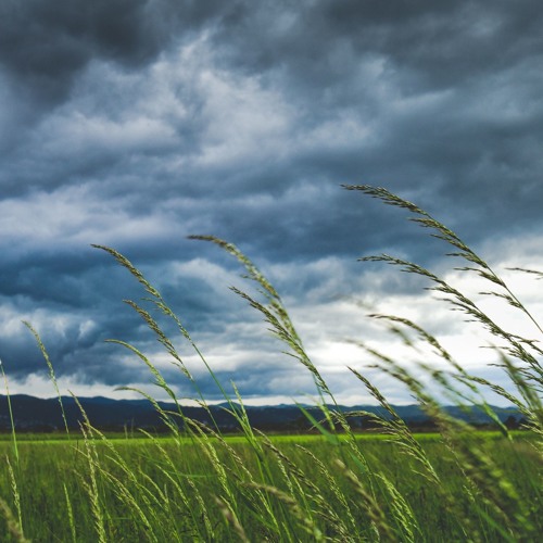 Stream Howling Wind by gosnelltb | Listen online for free on SoundCloud