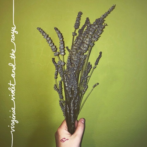 Stream The Eel by Virginia Violet | Listen online for free on SoundCloud