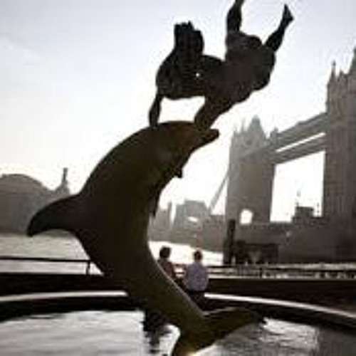 Stream The Boy & His Dolphin - For Roly Wynne by Martin Reed | Listen ...