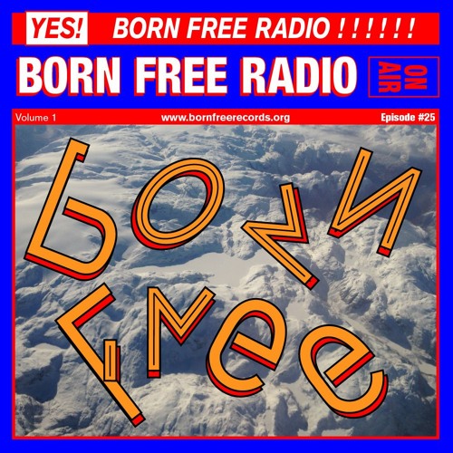 Stream BORN FREE Radio 25 - Andry by Born Free records | Listen online ...
