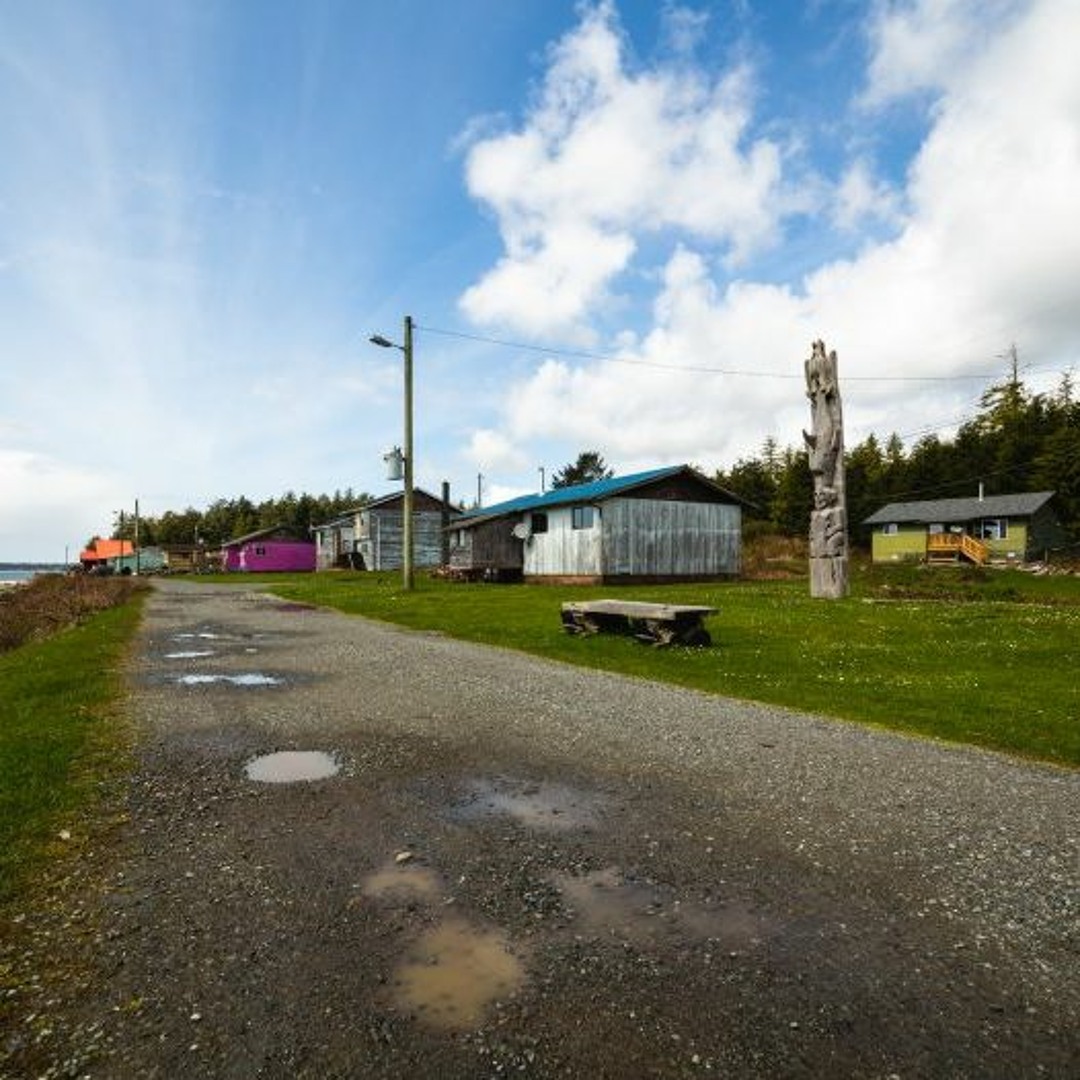 Stream Eli Enns reflects on the Meares Island Tribal Park - 35 years ...