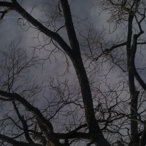 Stream Hold It Down by Amana Israel | Listen online for free on SoundCloud