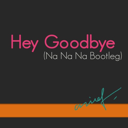 Stream Hey Goodbye (Na Na Na Bootleg) by Arie Felis | Listen online for ...