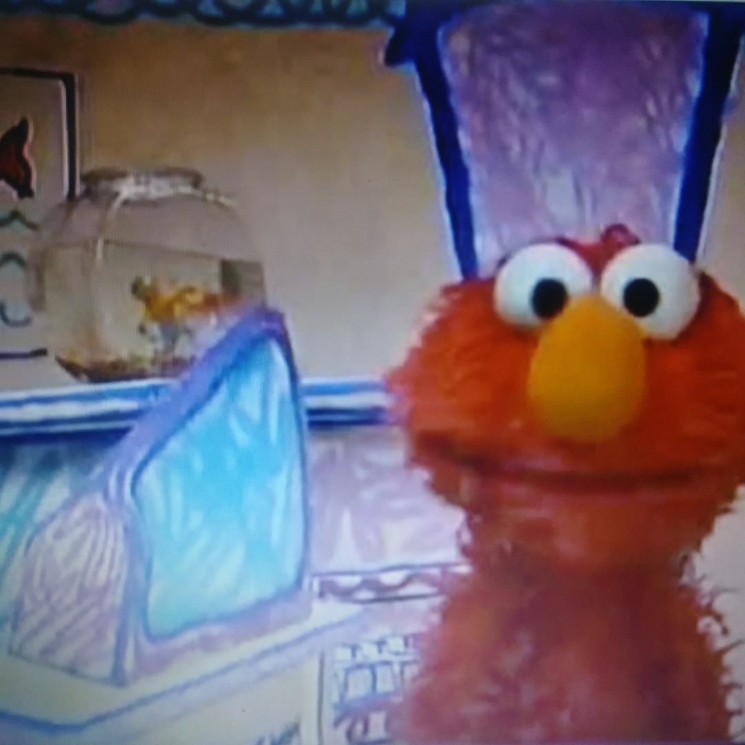 Stream Elmo's World: The Exercise Song (Autotune Remix) by Elmo's World ...