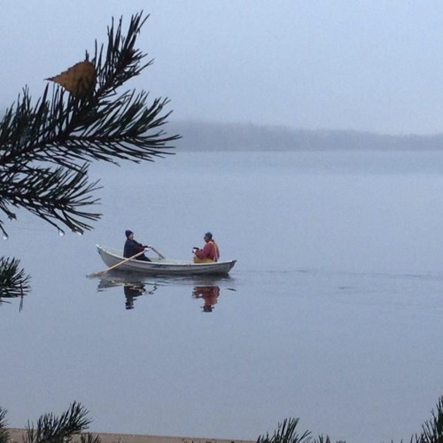 Stream Ingrian Song/Omal maal by Eila P | Listen online for free on ...