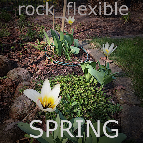 Stream Spring - Rock_Flexible by Rock Flexible (Official) | Listen ...