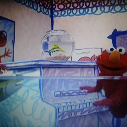 Listen to music albums featuring Elmo's World: The Fish Song (Autotune ...
