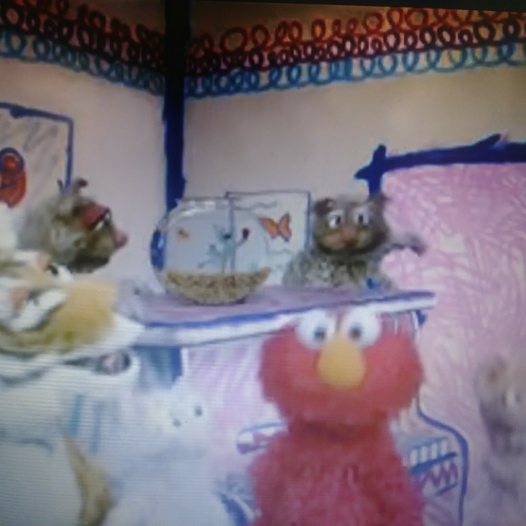 Stream Elmo's World: The Cats Song (Autotune Remix) by Elmo's World x ...